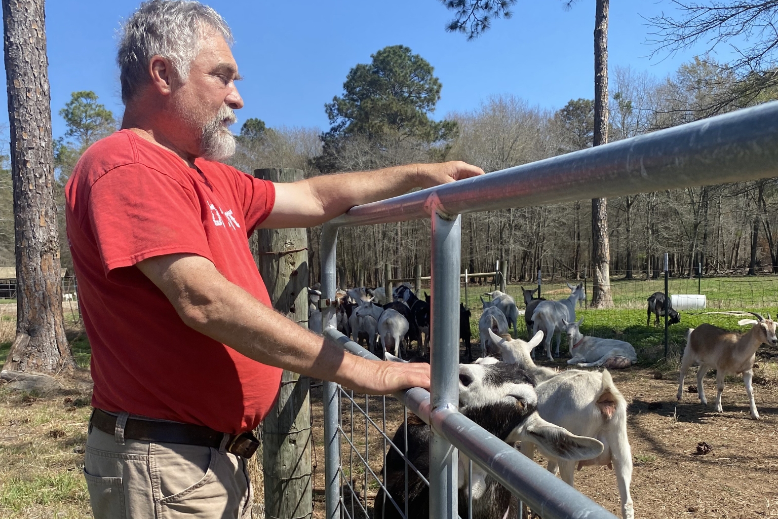 Living in Joy at Bootleg Farm – Savannah Agenda